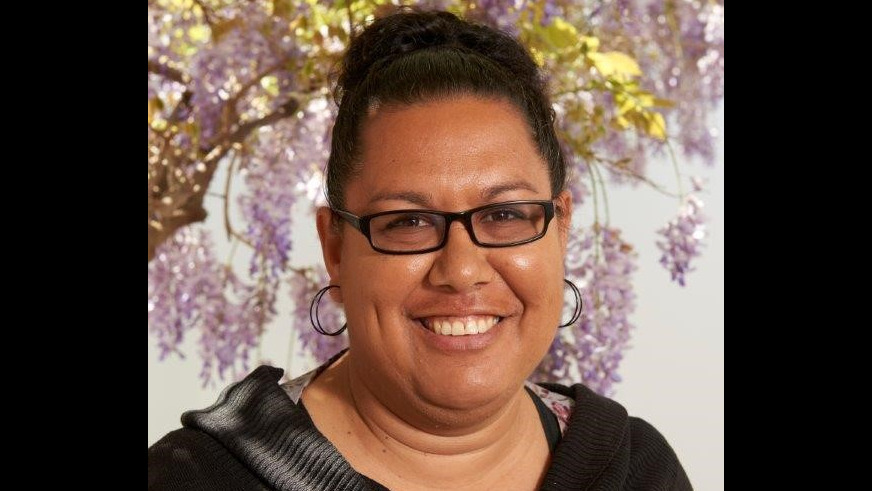 The Institutional Context of Indigenous Affairs: A New Analysis of ...
